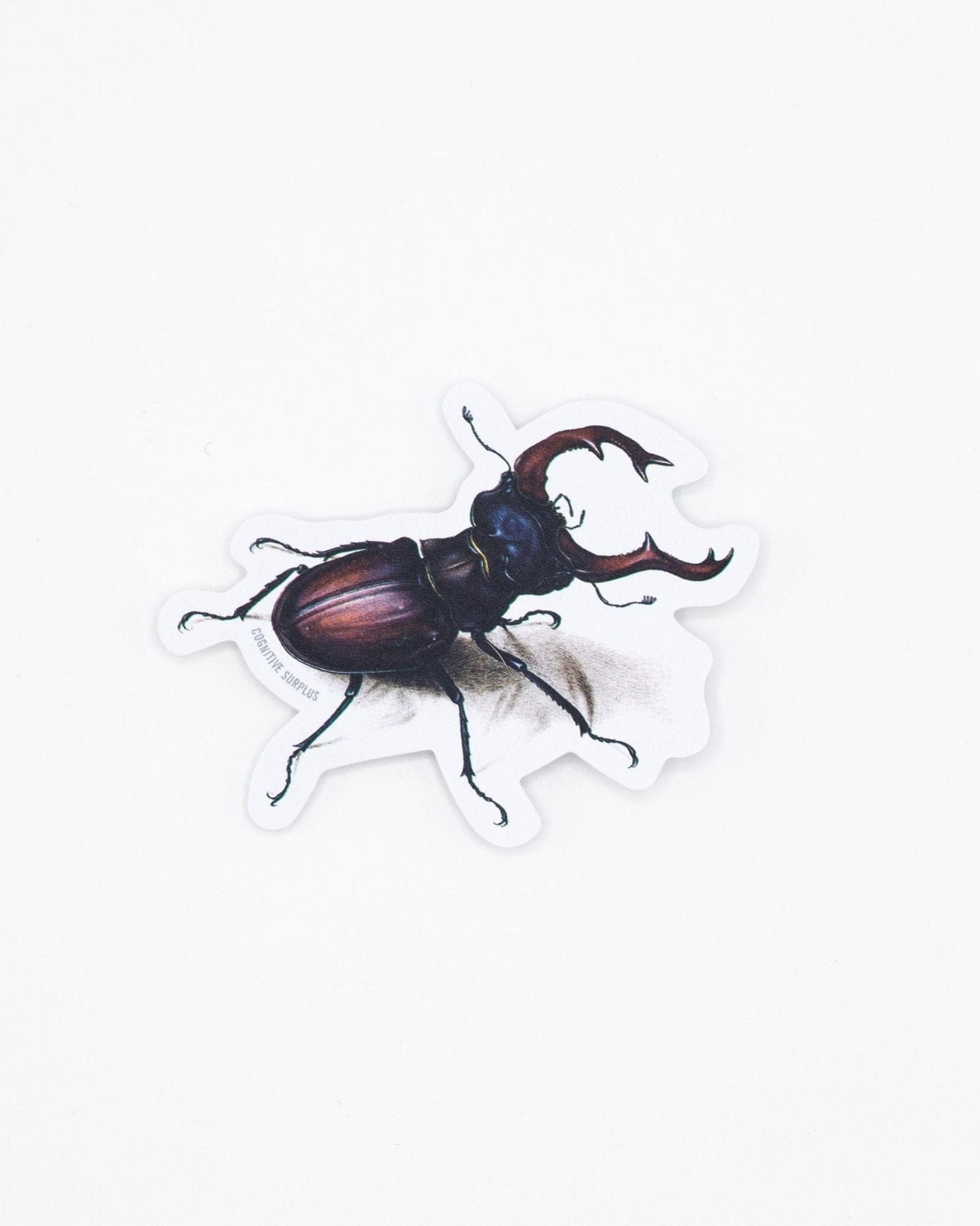 Beetle Sticker – Cognitive Surplus