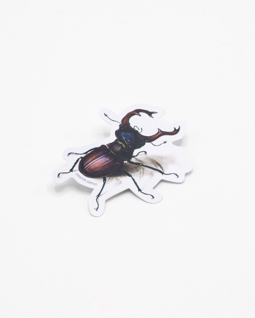 Beetle Sticker – Cognitive Surplus