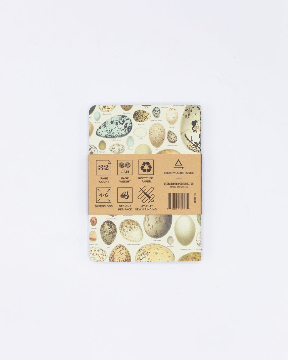 Birds: Ornithology Pocket Notebook 4-pack – Cognitive Surplus