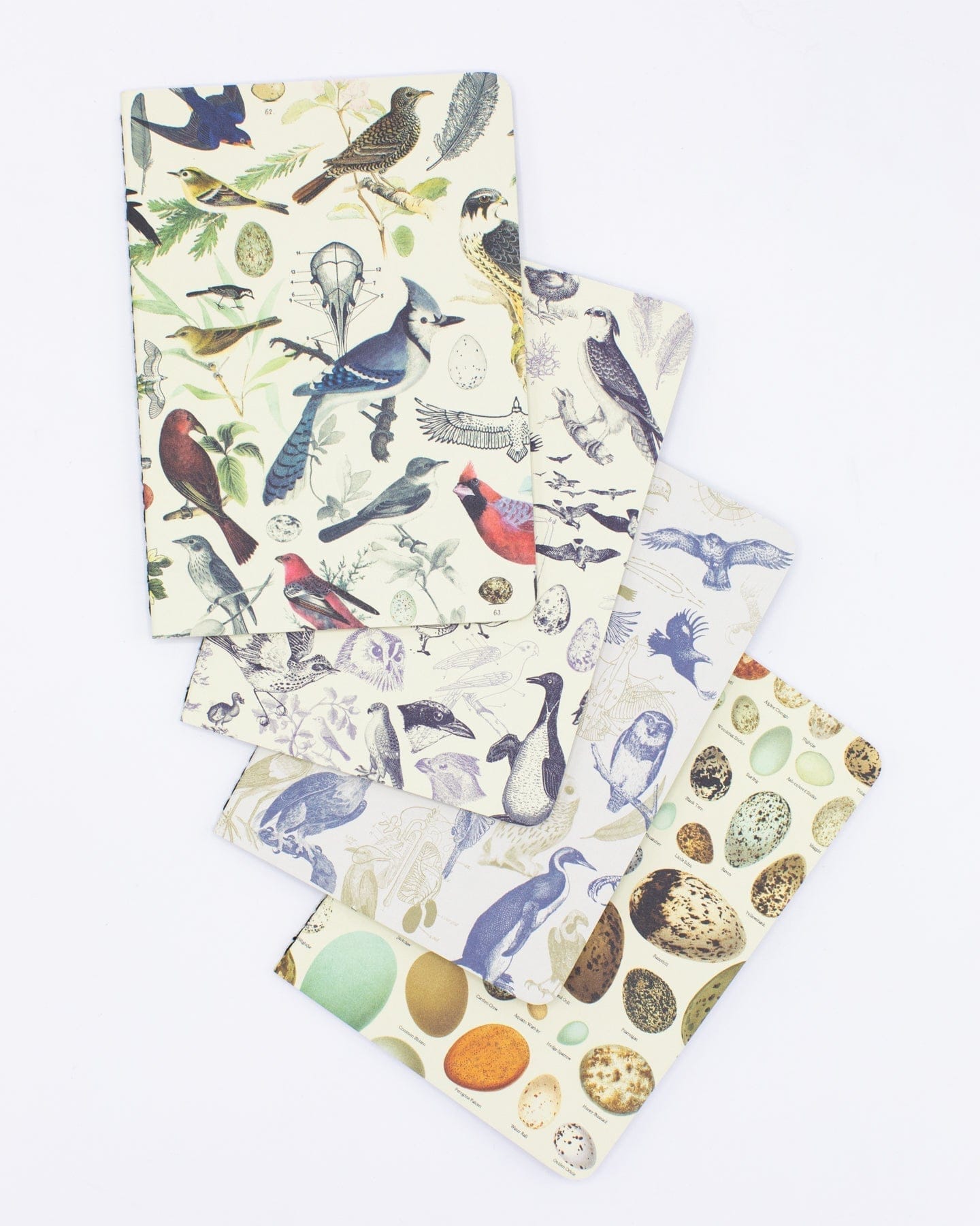 Birds: Ornithology Pocket Notebook 4-pack – Cognitive Surplus
