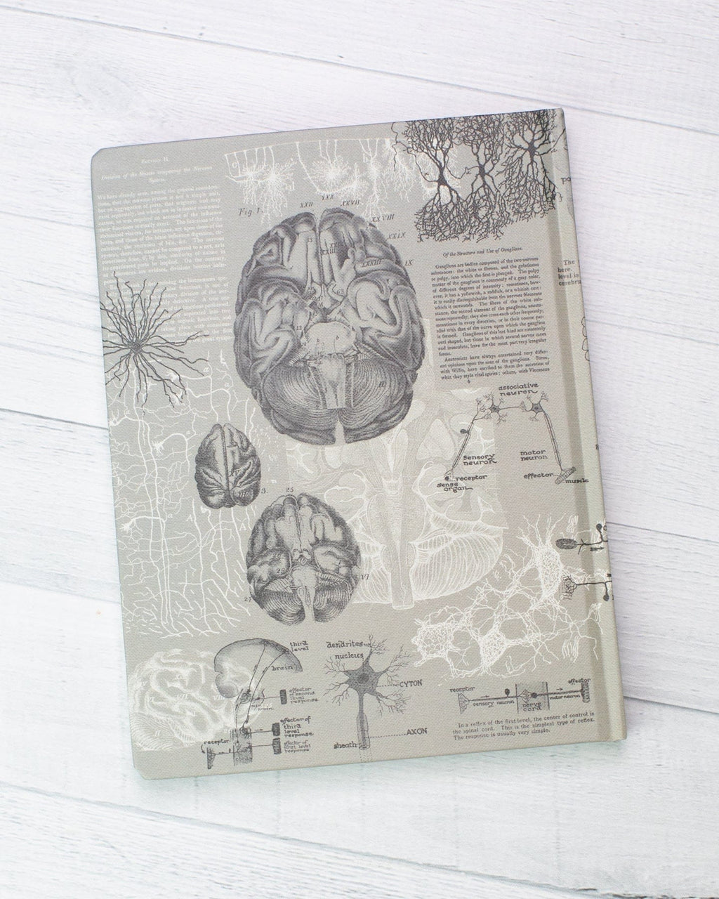 Brain Anatomy Hardcover Notebook | Dot Grid Journal – Cognitive Surplus