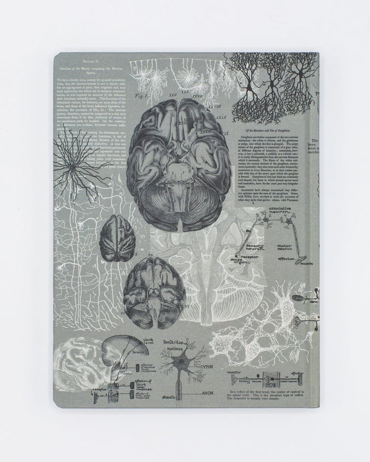 Brain Anatomy Hardcover Notebook | Dot Grid Journal – Cognitive Surplus
