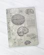 Brain Anatomy Hardcover Notebook | Dot Grid Journal – Cognitive Surplus