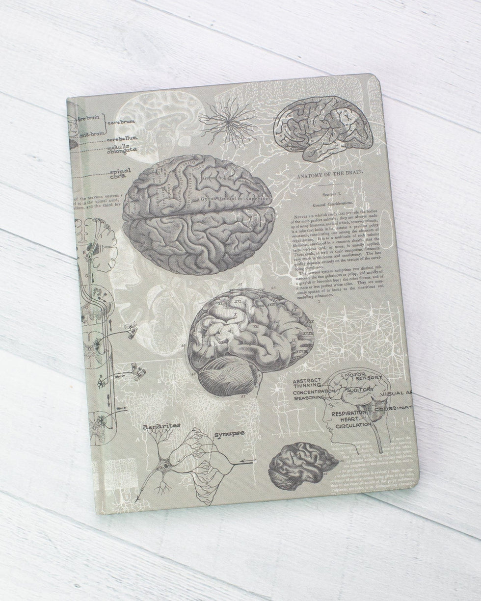 Brain Anatomy Hardcover Notebook | Dot Grid Journal – Cognitive Surplus