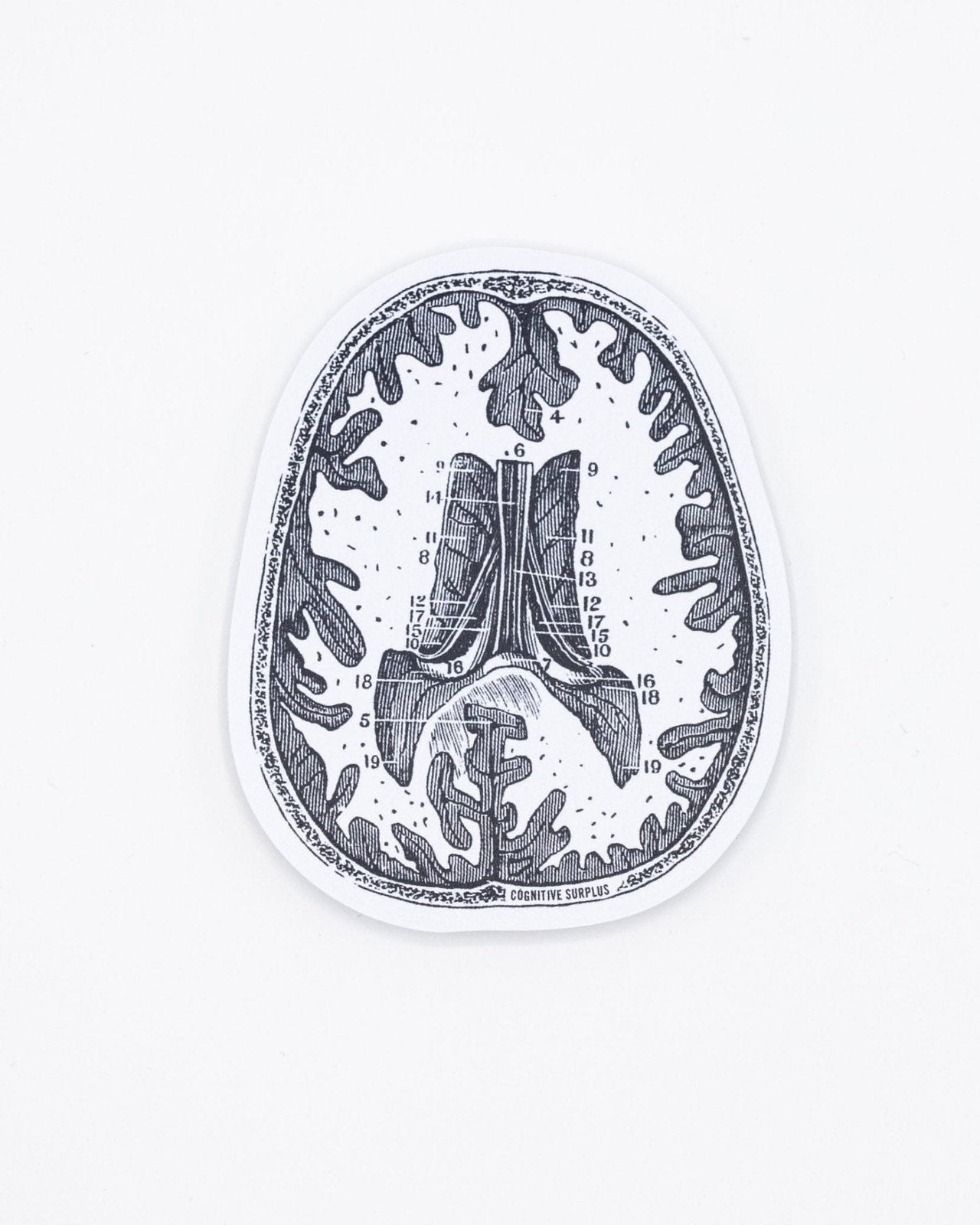Brain Scan Sticker – Cognitive Surplus