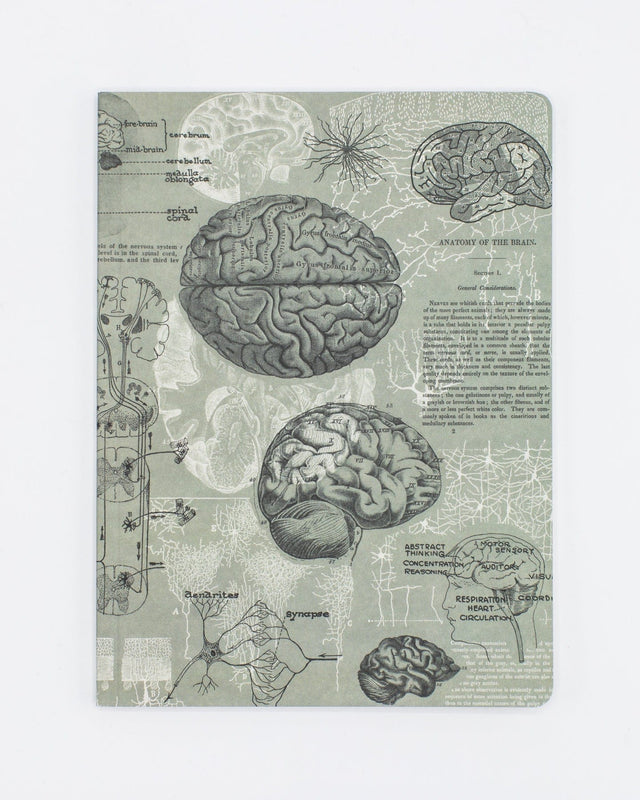 Brain Anatomy Softcover Notebook | Dot Grid Journal – Cognitive Surplus