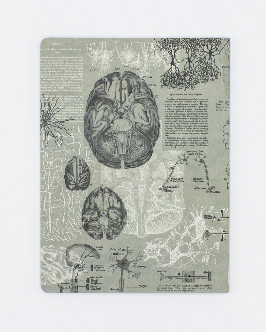 Brain Anatomy Softcover Notebook | Dot Grid Journal – Cognitive Surplus