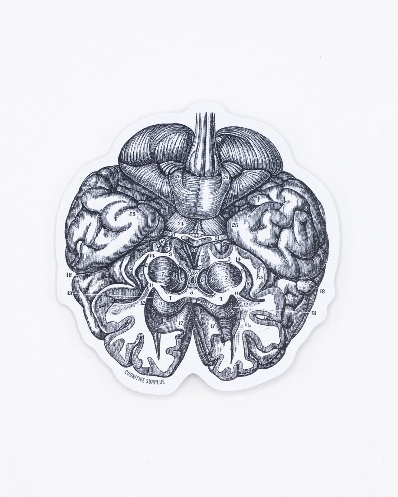 Brain Sticker – Cognitive Surplus