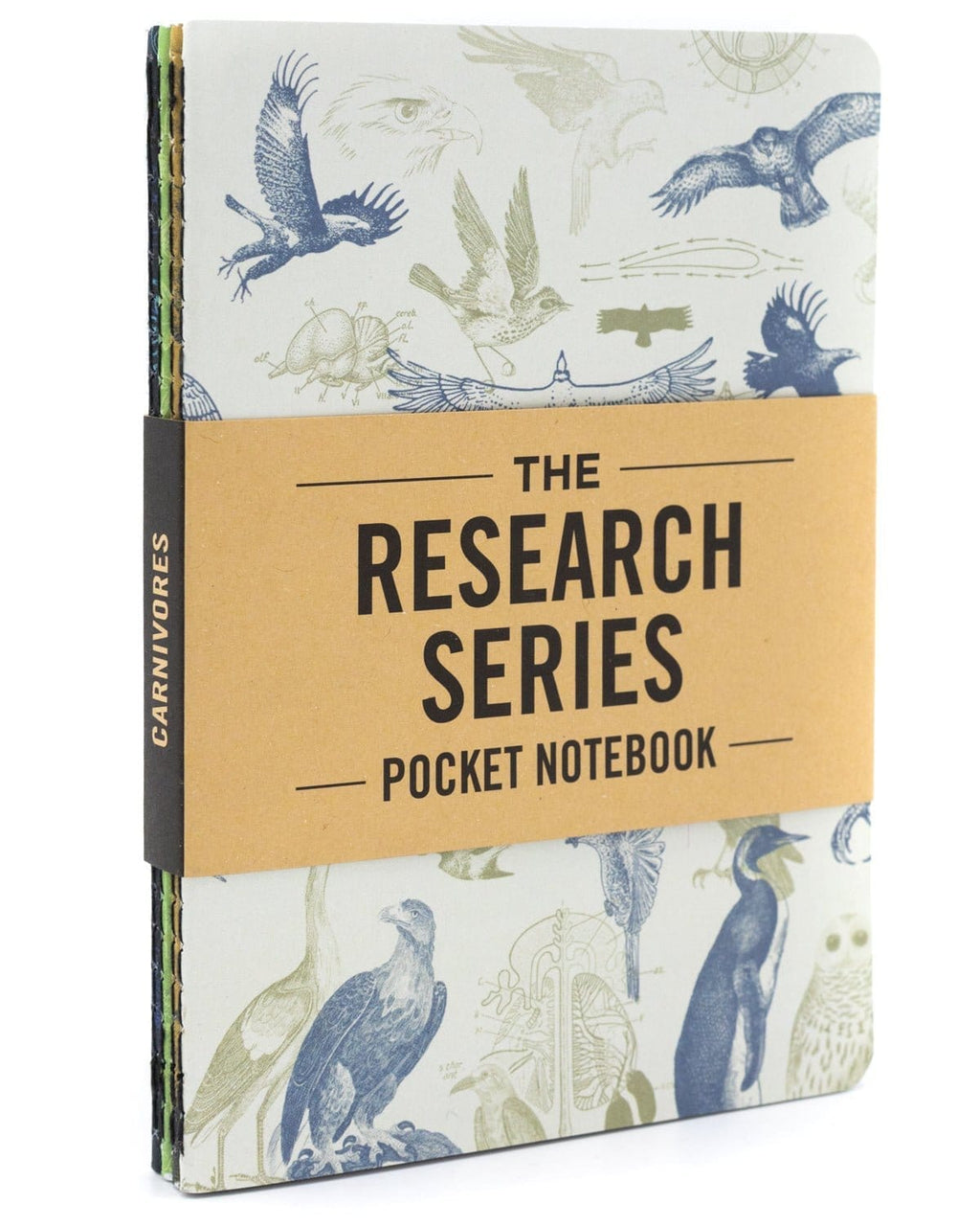 Carnivores Pocket Notebooks Set of 4 | Science Notebook – Cognitive Surplus