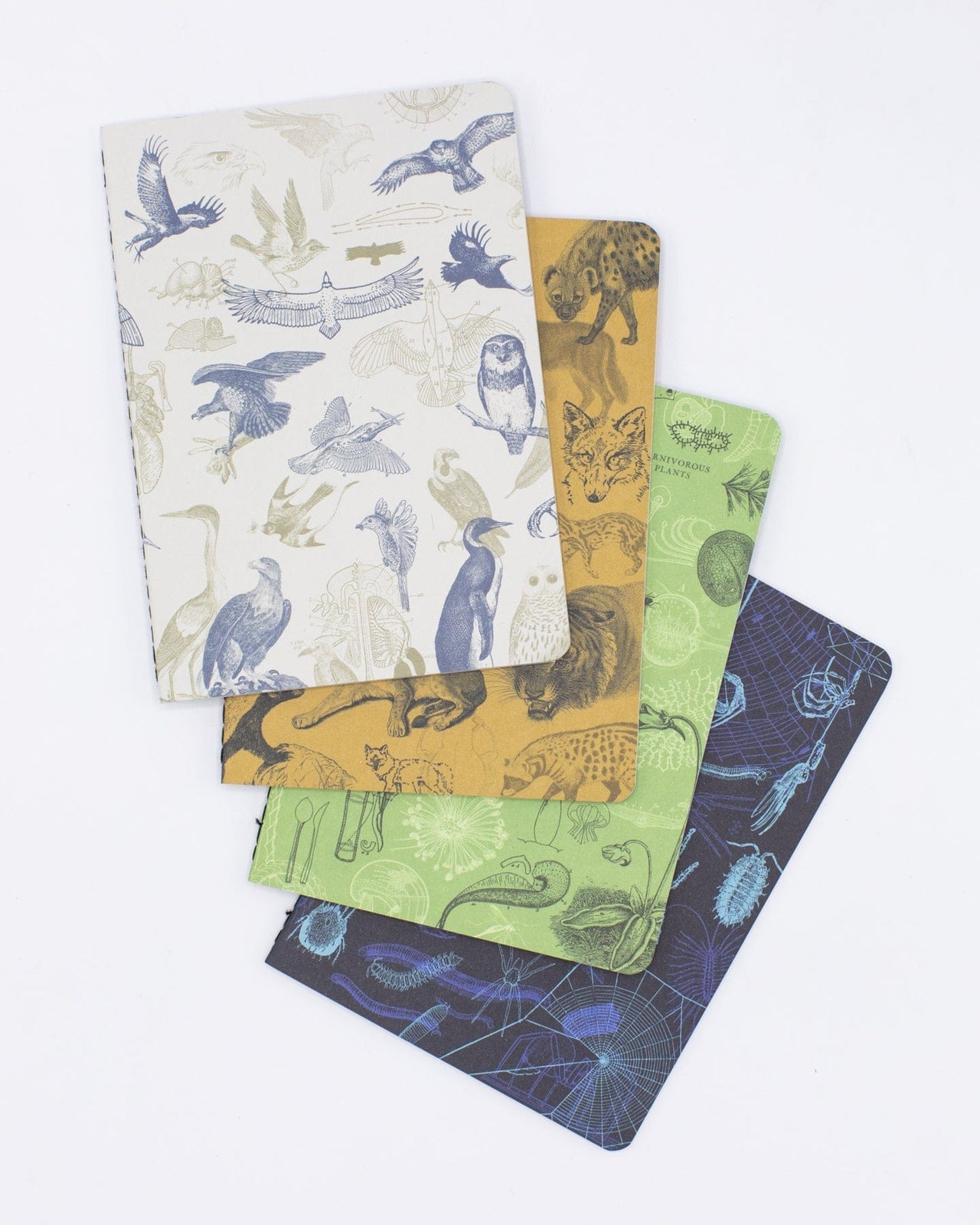 Carnivores Pocket Notebooks Set of 4 | Science Notebook – Cognitive Surplus