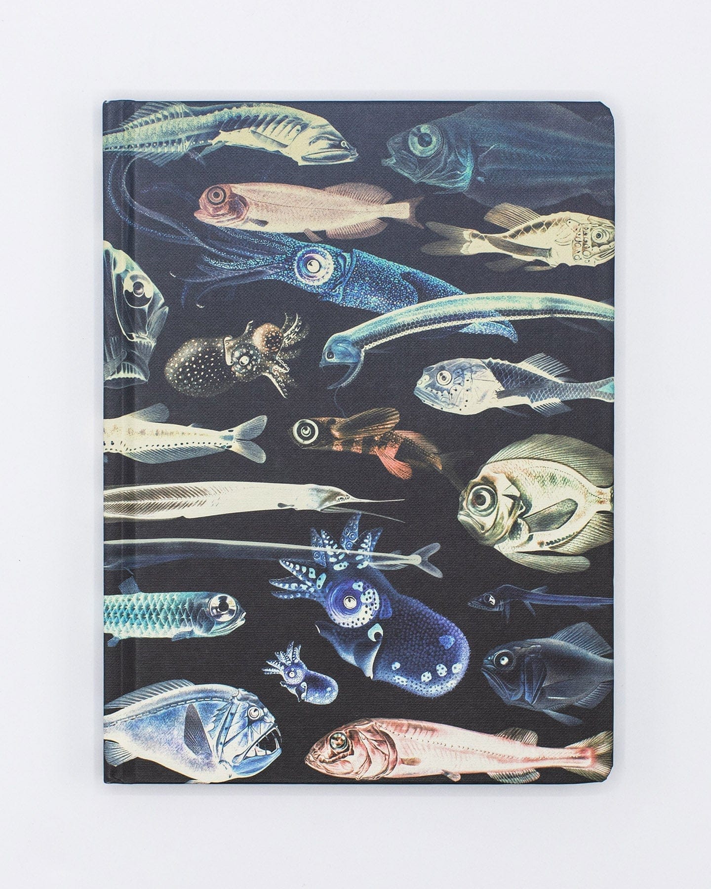 Jellyfish Print Notebook - Hardcover | Biology Gifts – Cognitive Surplus
