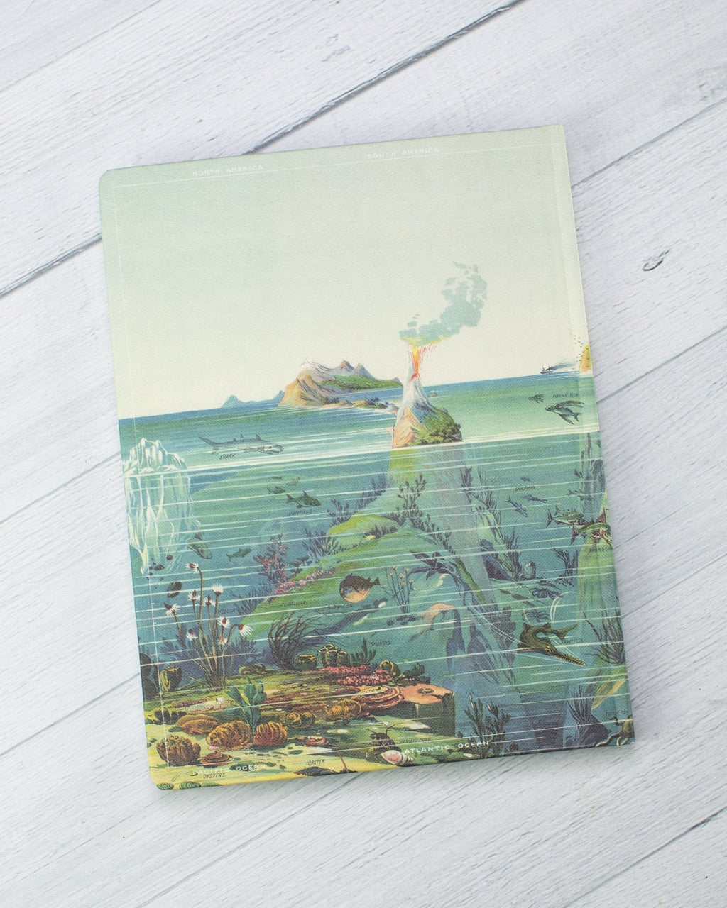 Marine Biology Notebook - Hardcover | Biology Gifts – Cognitive Surplus