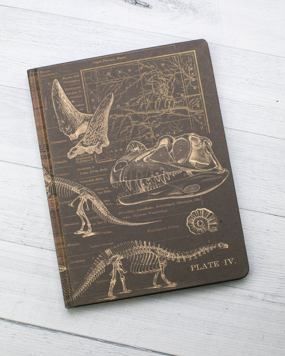Dinosaur Hardcover Notebook | Paleontology – Cognitive Surplus