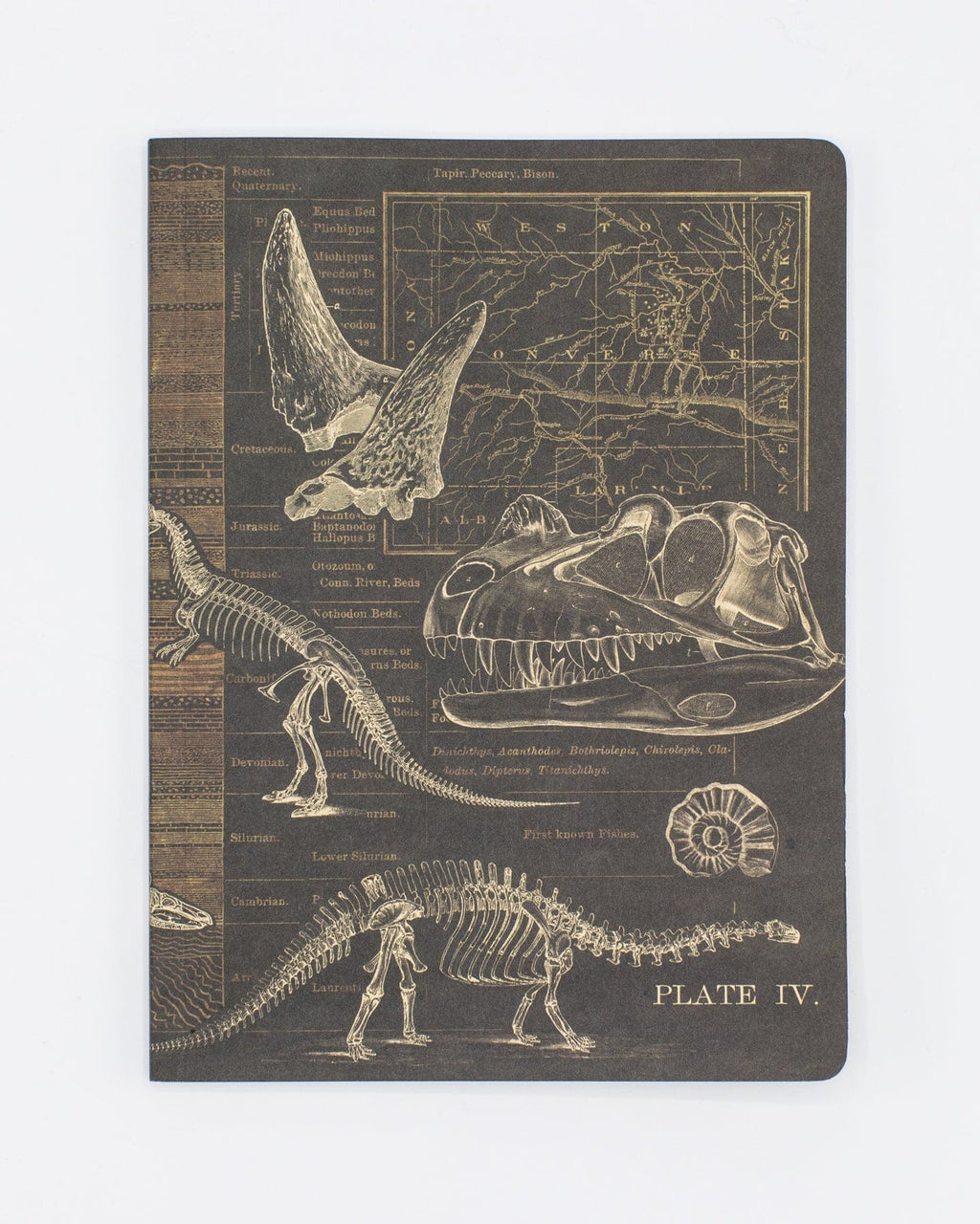 Dinosaur Softcover Notebook | Paleontology Dotted Journal – Cognitive ...