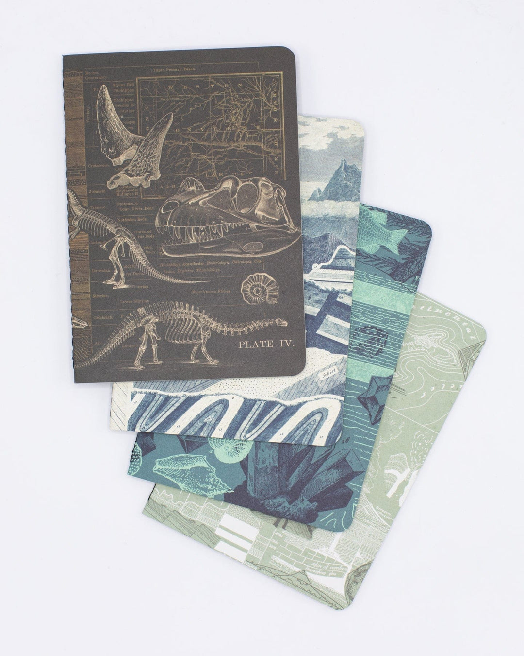 Earth Science Pocket Notebook 4-pack Cognitive Surplus