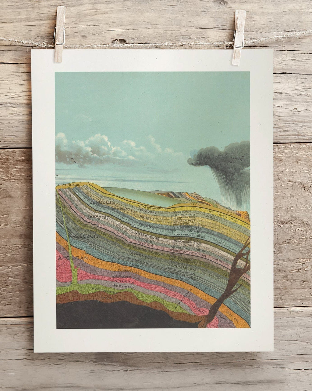 Stratigraphy Scientific Illustration Museum Print – Cognitive Surplus