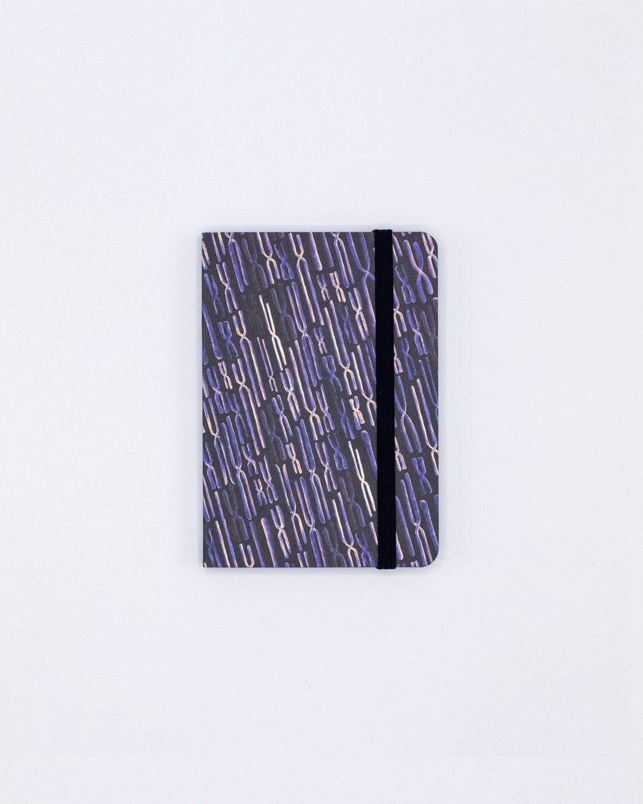 Genetics - Genomics Gifts | Cognitive Surplus