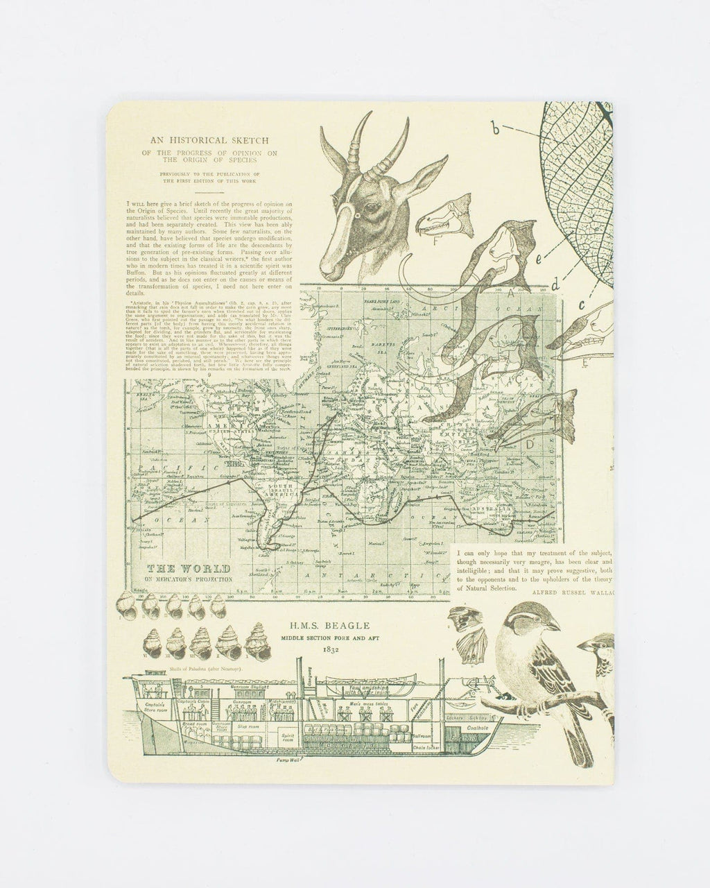 Evolution Softcover Notebook | Charles Darwin – Cognitive Surplus