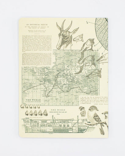 Evolution Softcover Notebook | Charles Darwin – Cognitive Surplus
