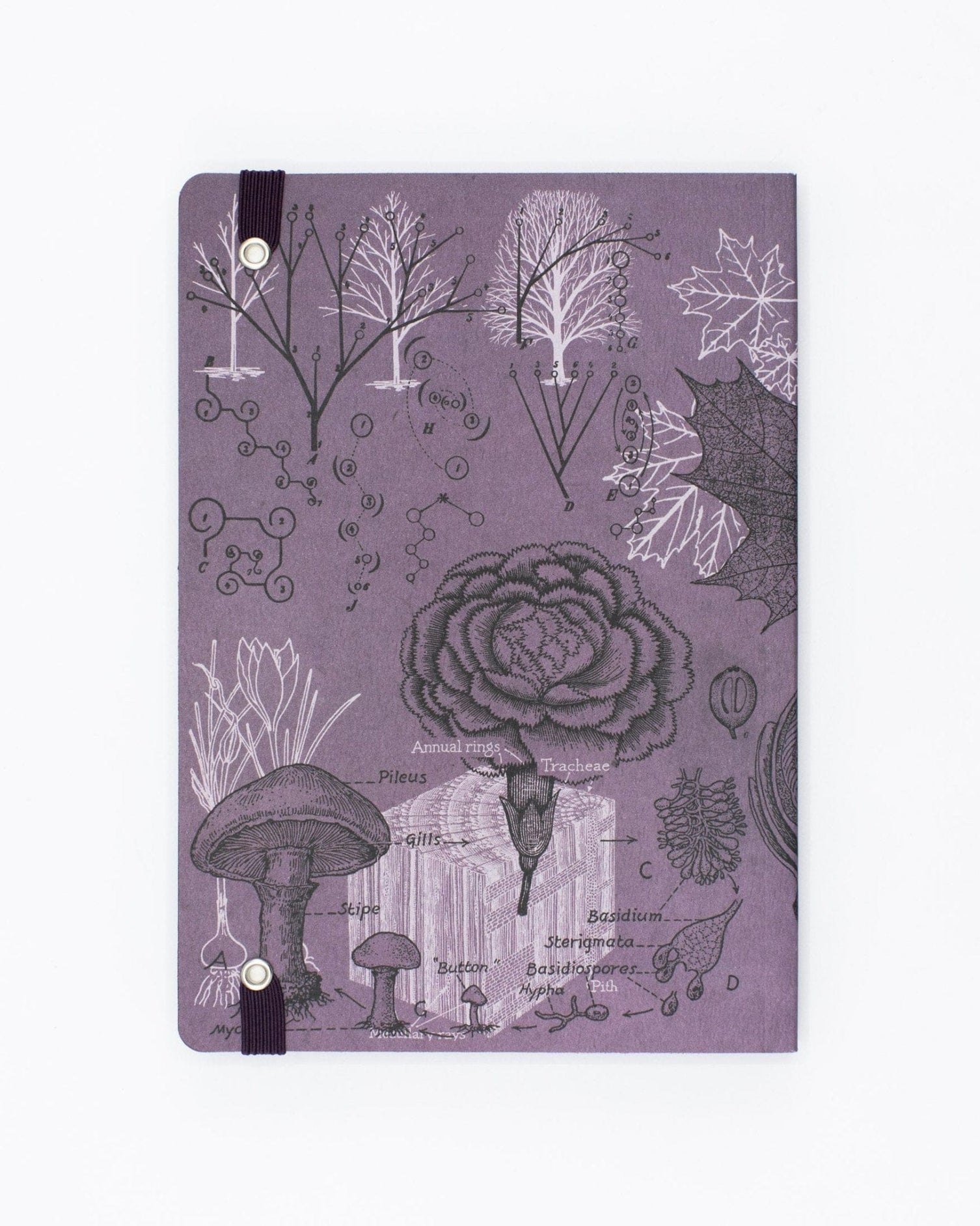 Forest at Dusk A5 Notebook - Dendrology - Dotted Lines | Cogntiive ...