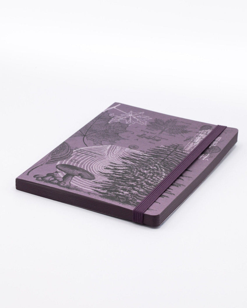 Forest at Dusk A5 Notebook - Dendrology - Dotted Lines | Cogntiive ...