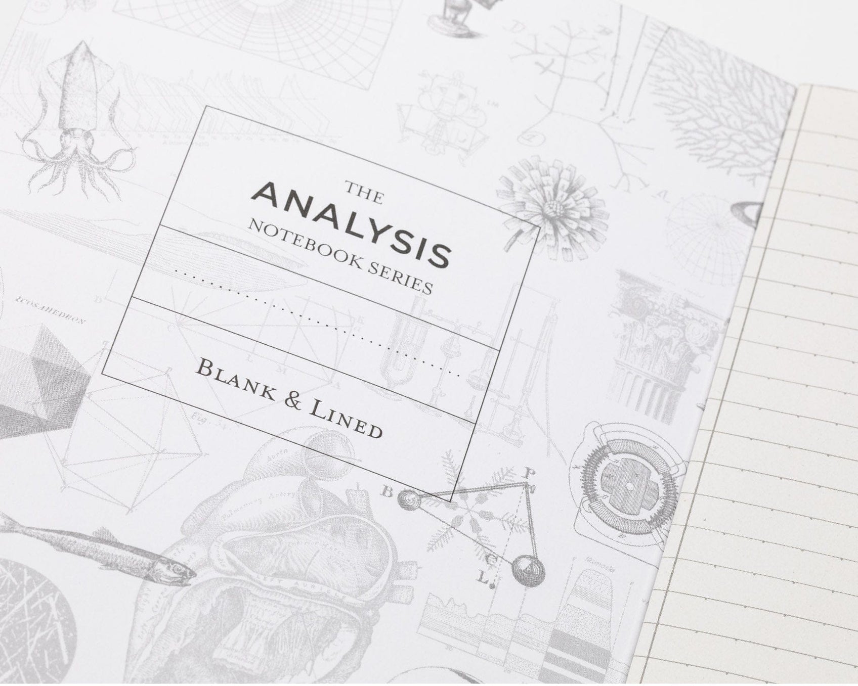 Forest at Dusk A5 Notebook - Dendrology - Dotted Lines | Cogntiive ...