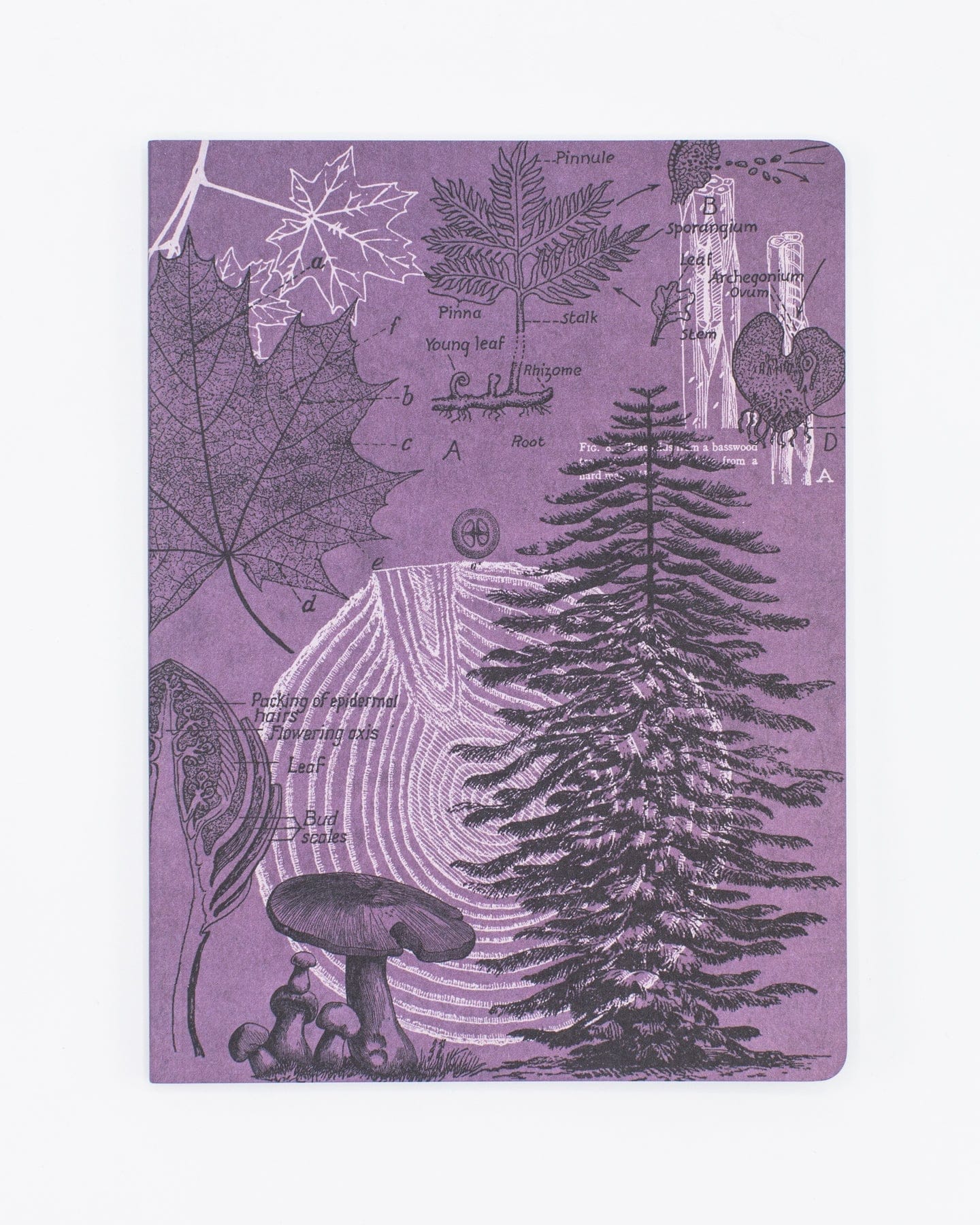 Tree Notebook - Softcover | Hiking Journal – Cognitive Surplus