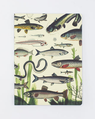 Freshwater Fish Softcover Notebook - Dot Grid – Cognitive Surplus