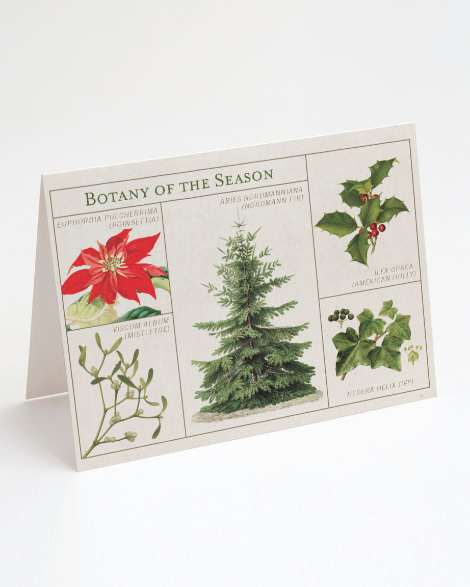 Botany Holiday Card - Science Christmas Card | Cognitive Surplus