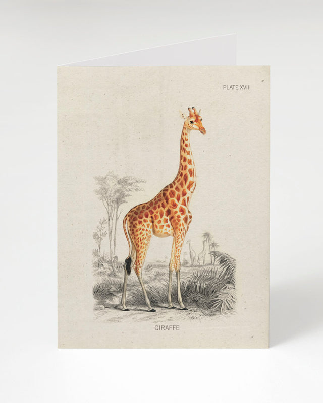 Giraffe Greeting Card - Science Stationery | Cognitive Surplus