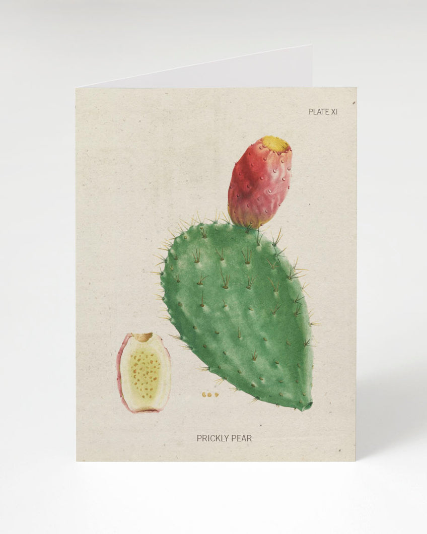 Prickly Pear Cactus Greeting Card - Science Stationery | Cognitive Surplus