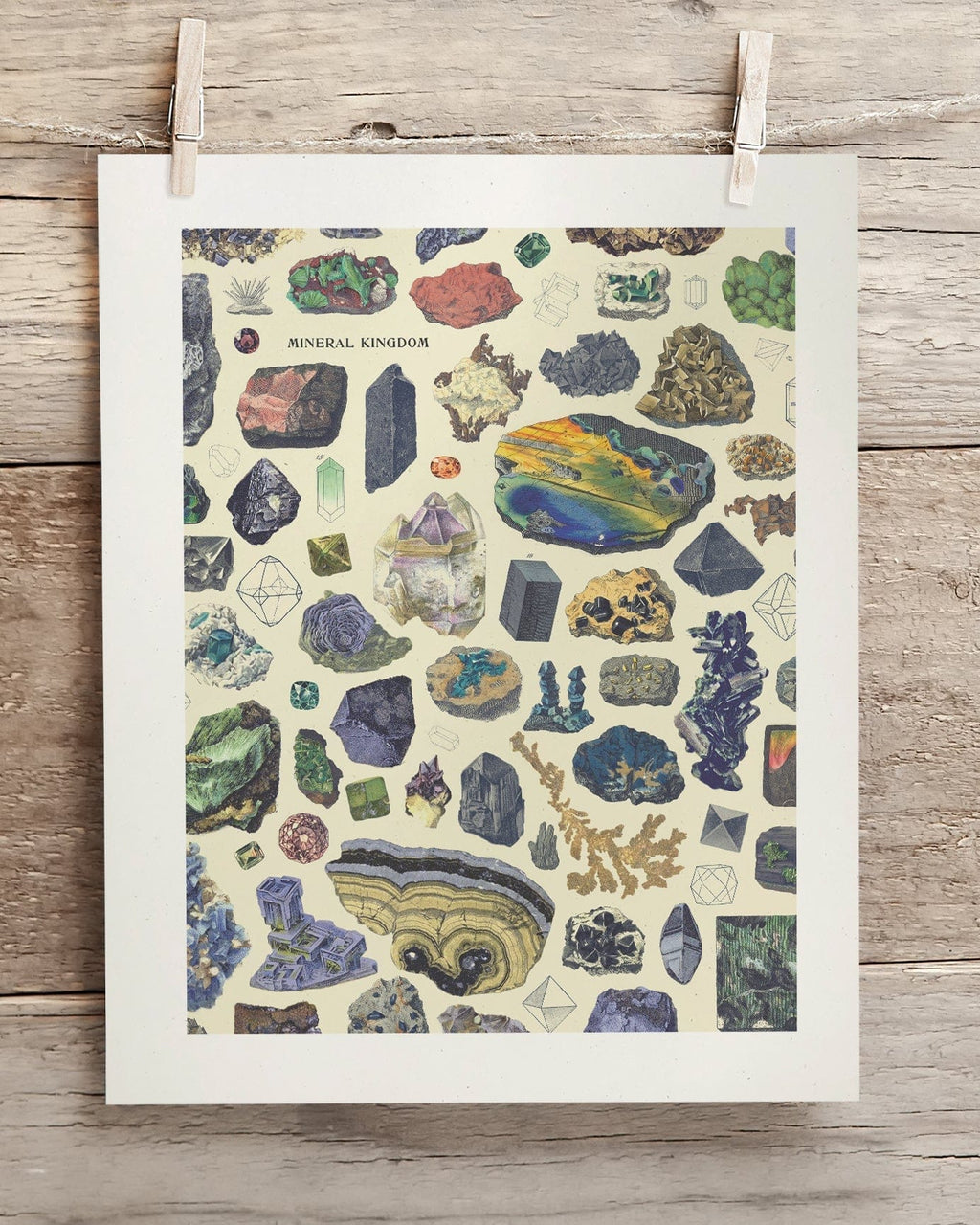 Gems & Minerals Museum Print | Geology Gift – Cognitive Surplus