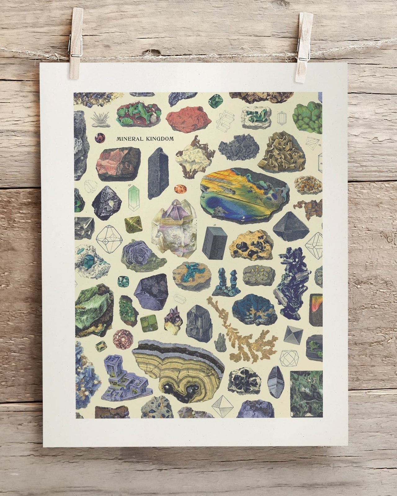 Gems & Minerals Museum Print | Geology Gift – Cognitive Surplus