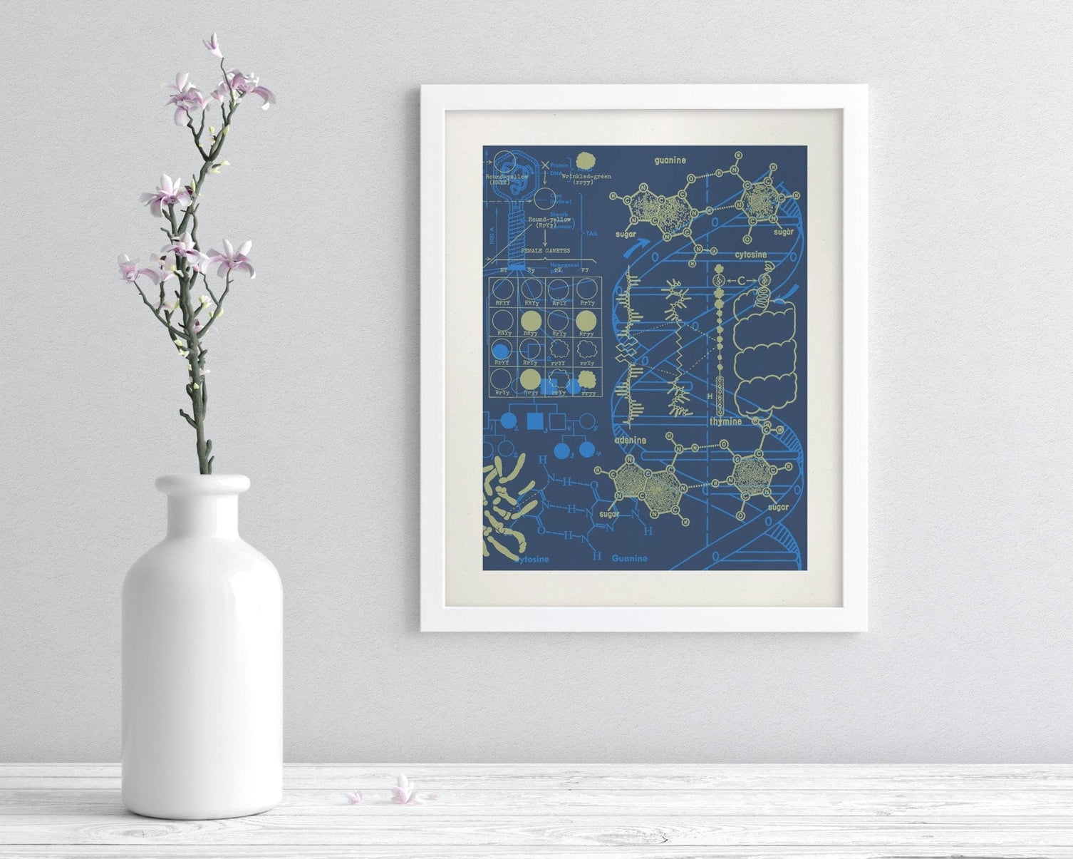 Genetics: DNA Museum Print | Pharmacist Gift – Cognitive Surplus