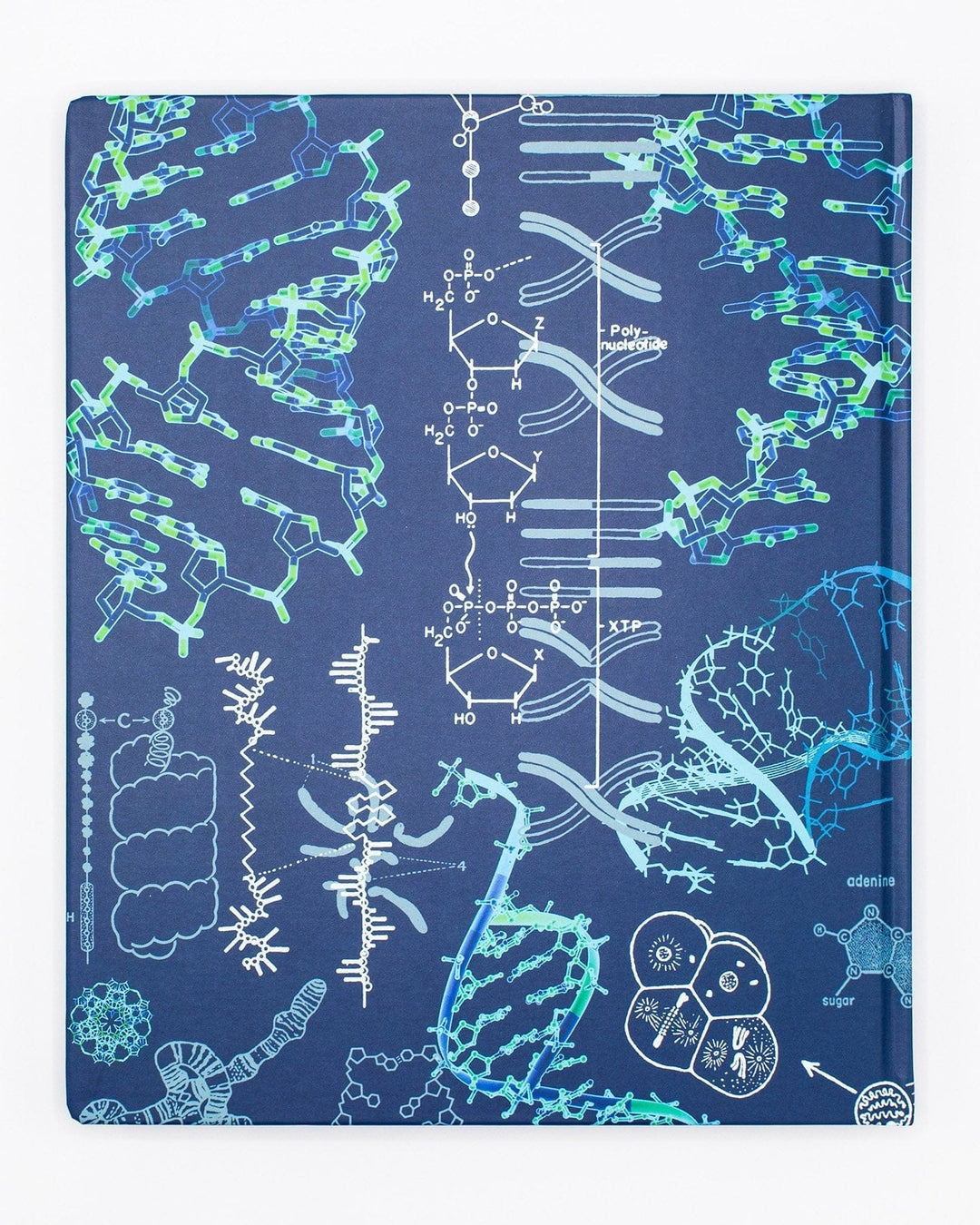 Laboratory Notebooks | Lab Notebooks | Cognitive Surplus