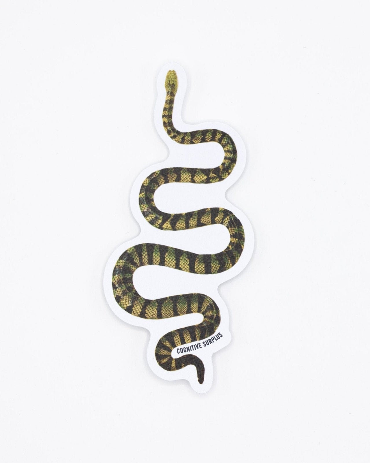 Green Snake Sticker – Cognitive Surplus