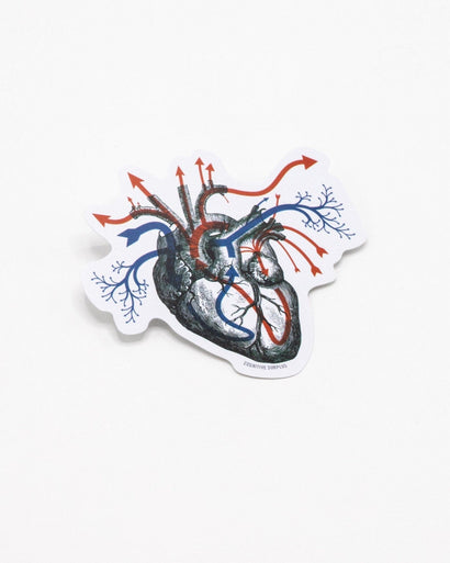 Heart Blood Flow Sticker – Cognitive Surplus