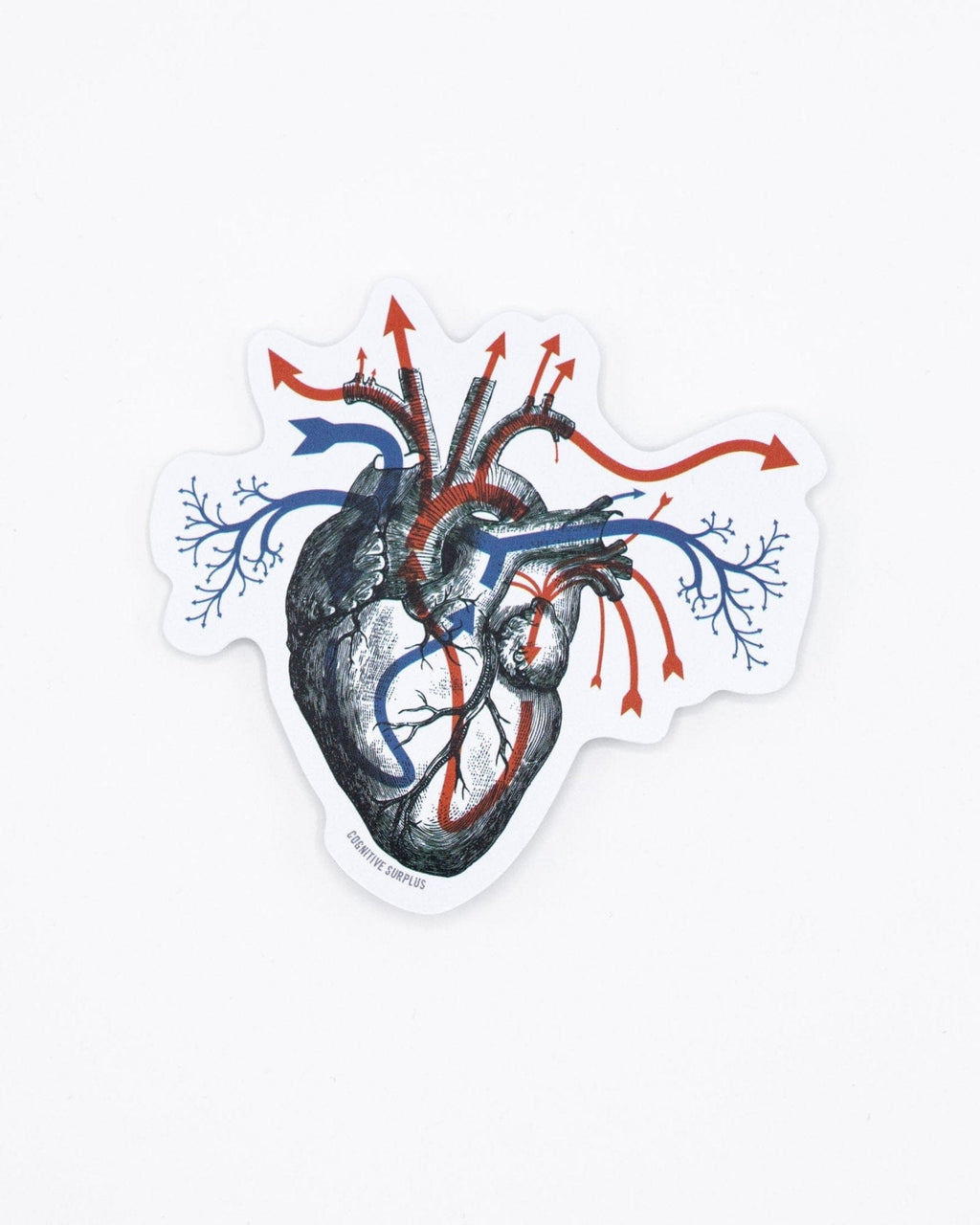 Heart Blood Flow Sticker – Cognitive Surplus