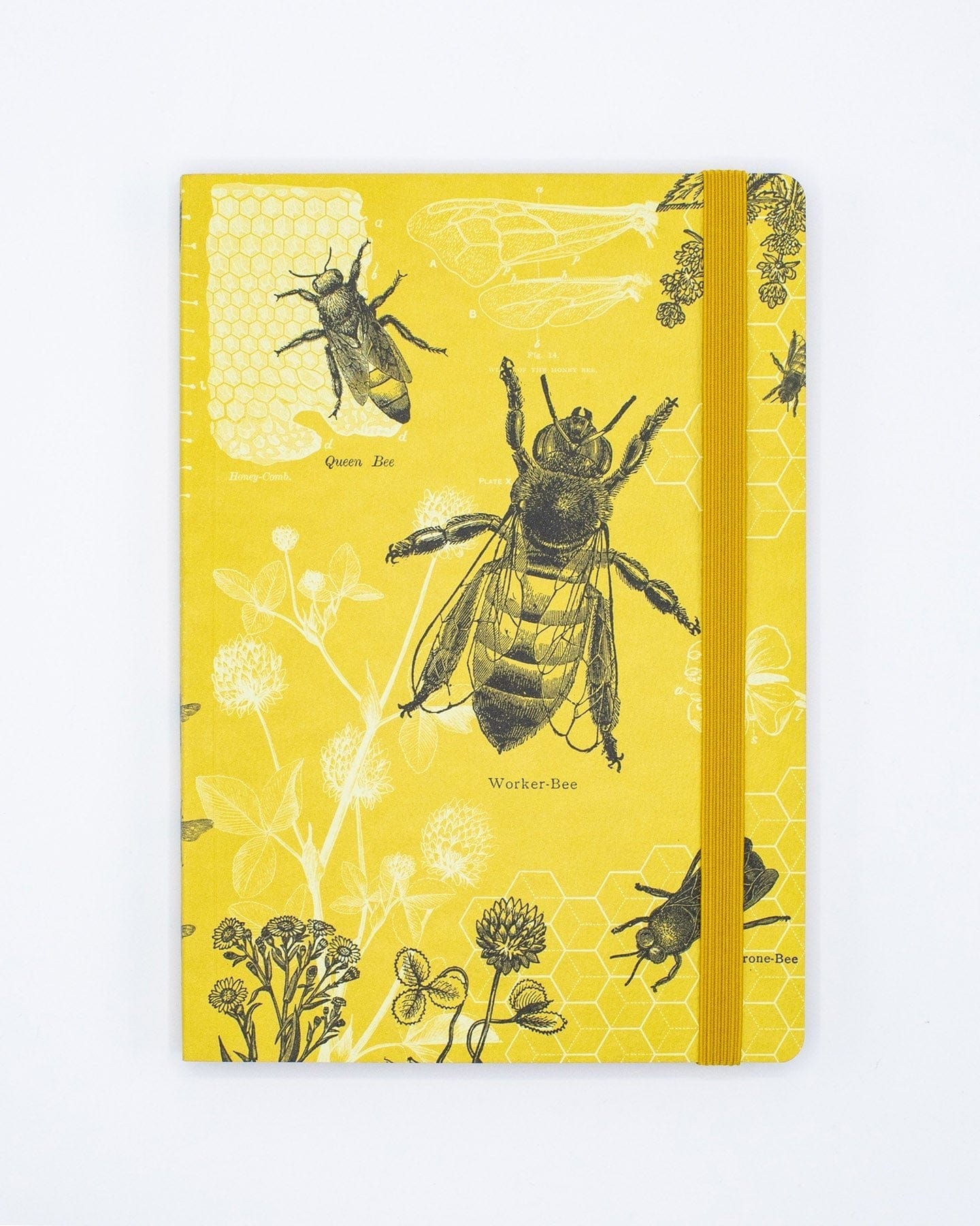 Honey Bee A5 Notebook - Beekeeper Gift | Cognitive Surplus