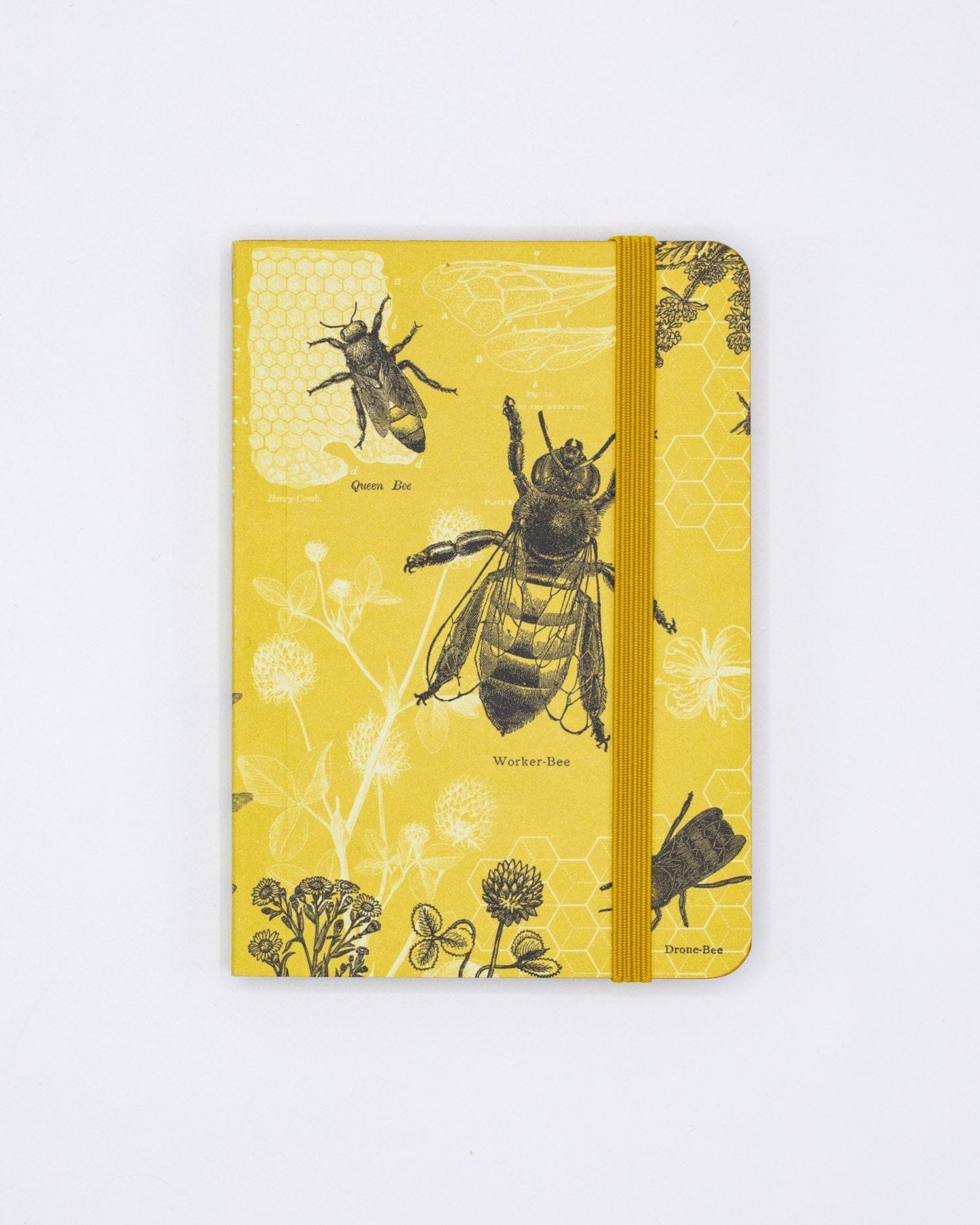 Honey Bee Journals HONEY BEE | Print Bullet Journal – Citrus Book