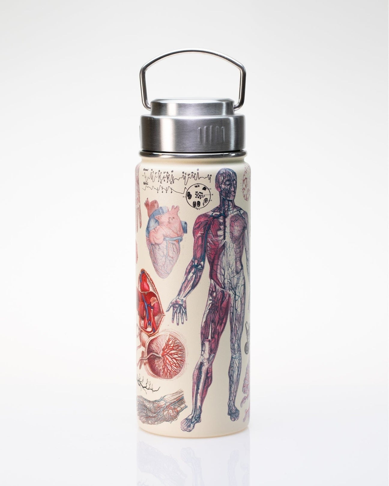 Water Bottles - Vacuum Insulated Stainless Steel Travel Bottles ...
