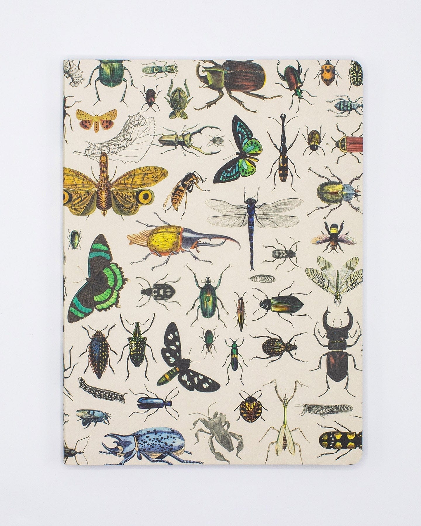 Insect Softcover Notebook - Dot Grid – Cognitive Surplus