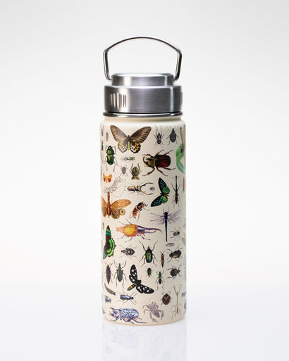 Bug Water Bottle | Insect Insulated Flask | Cognitive Surplus