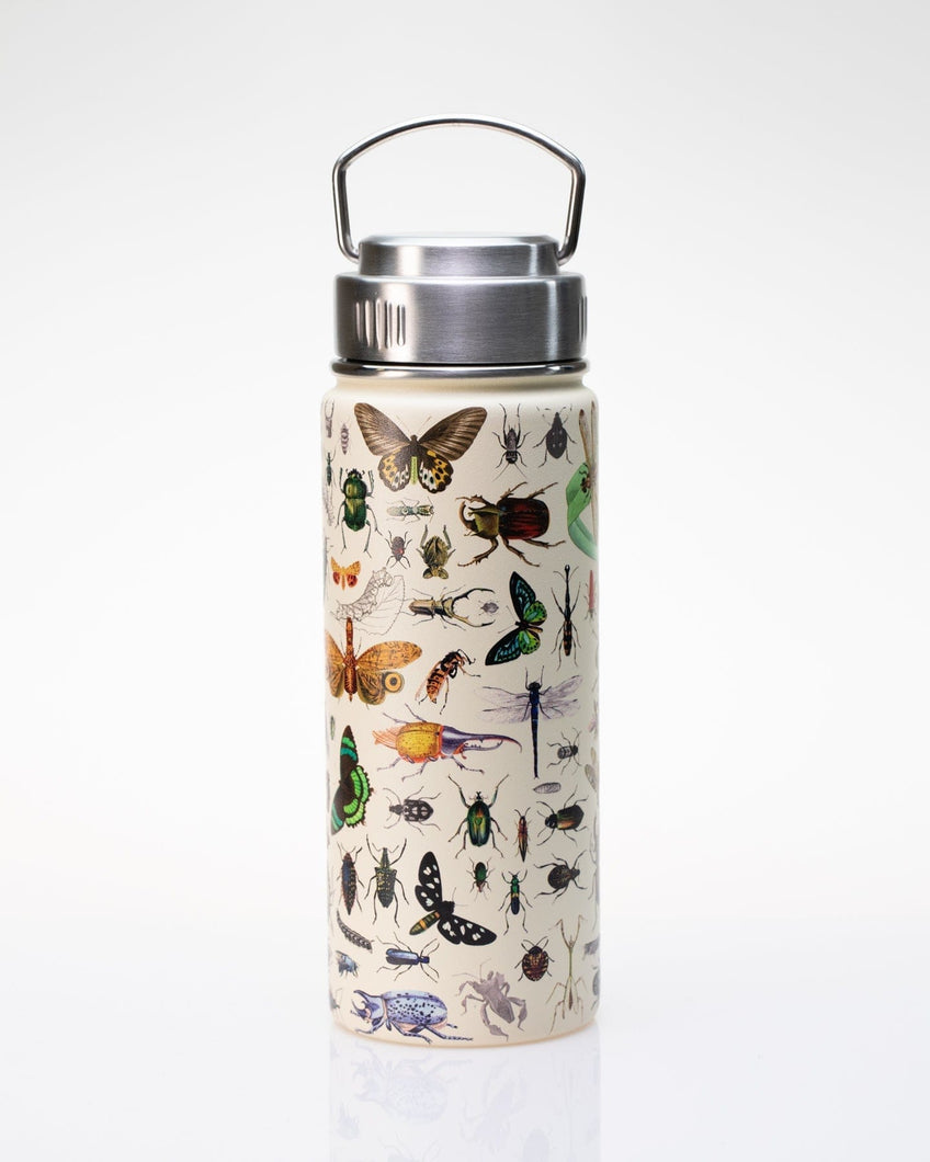 Bug Water Bottle | Insect Insulated Flask | Cognitive Surplus