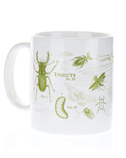 Insect Mug 20 oz | Science Mug – Cognitive Surplus