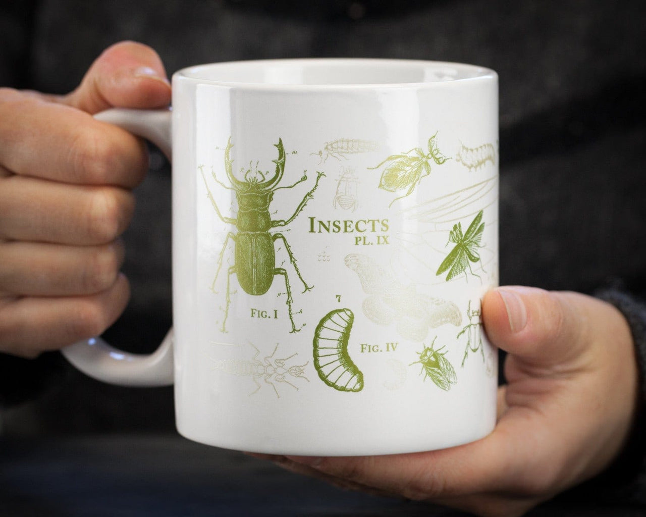 Insect Mug 20 oz | Science Mug – Cognitive Surplus