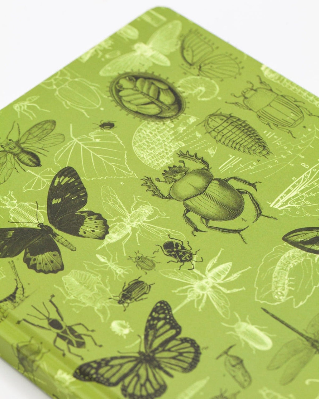 Insect Hardcover Notebook | Dot Grid Graph Paper Notebook – Cognitive ...