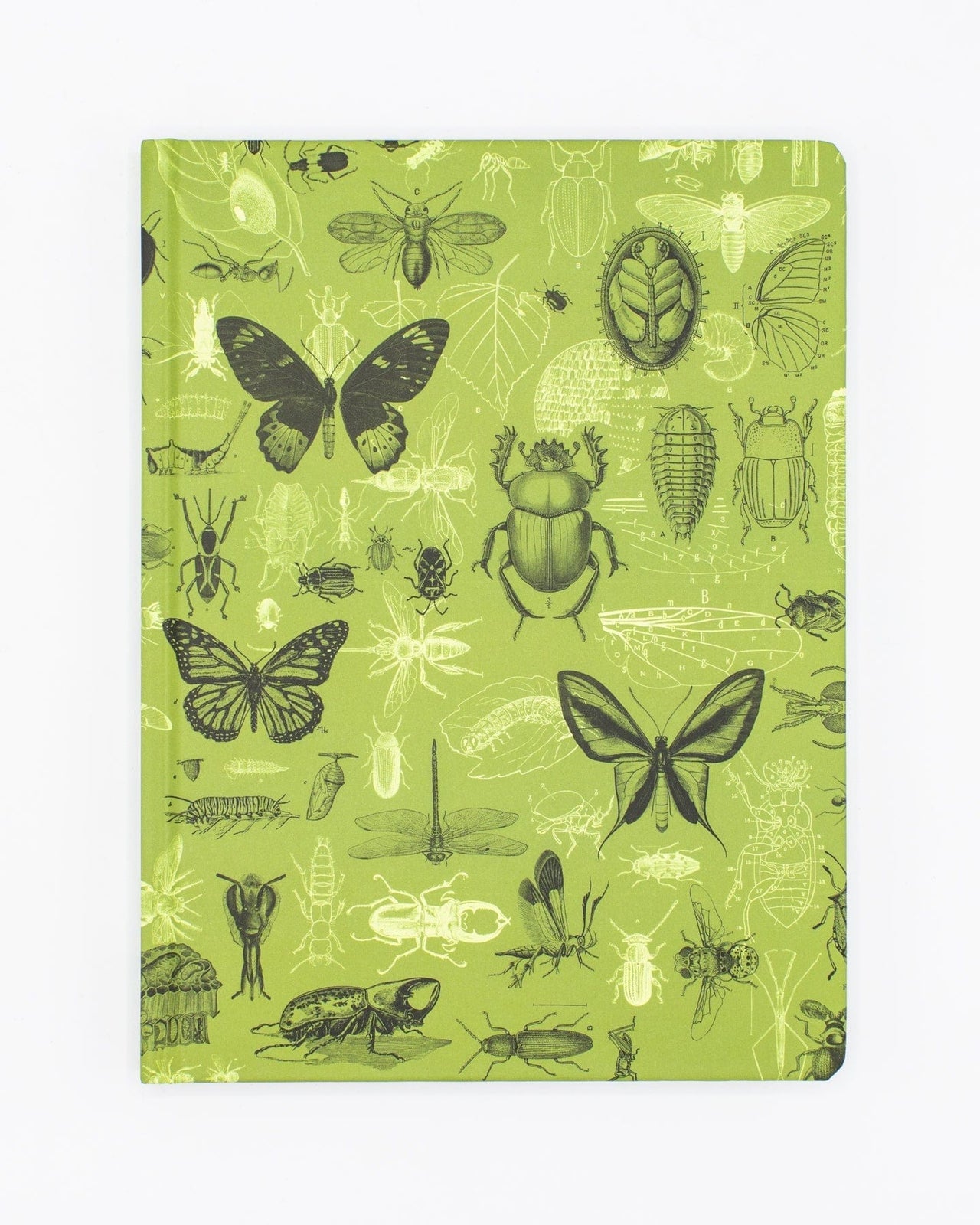 Insect Hardcover Notebook | Dot Grid Graph Paper Notebook – Cognitive ...