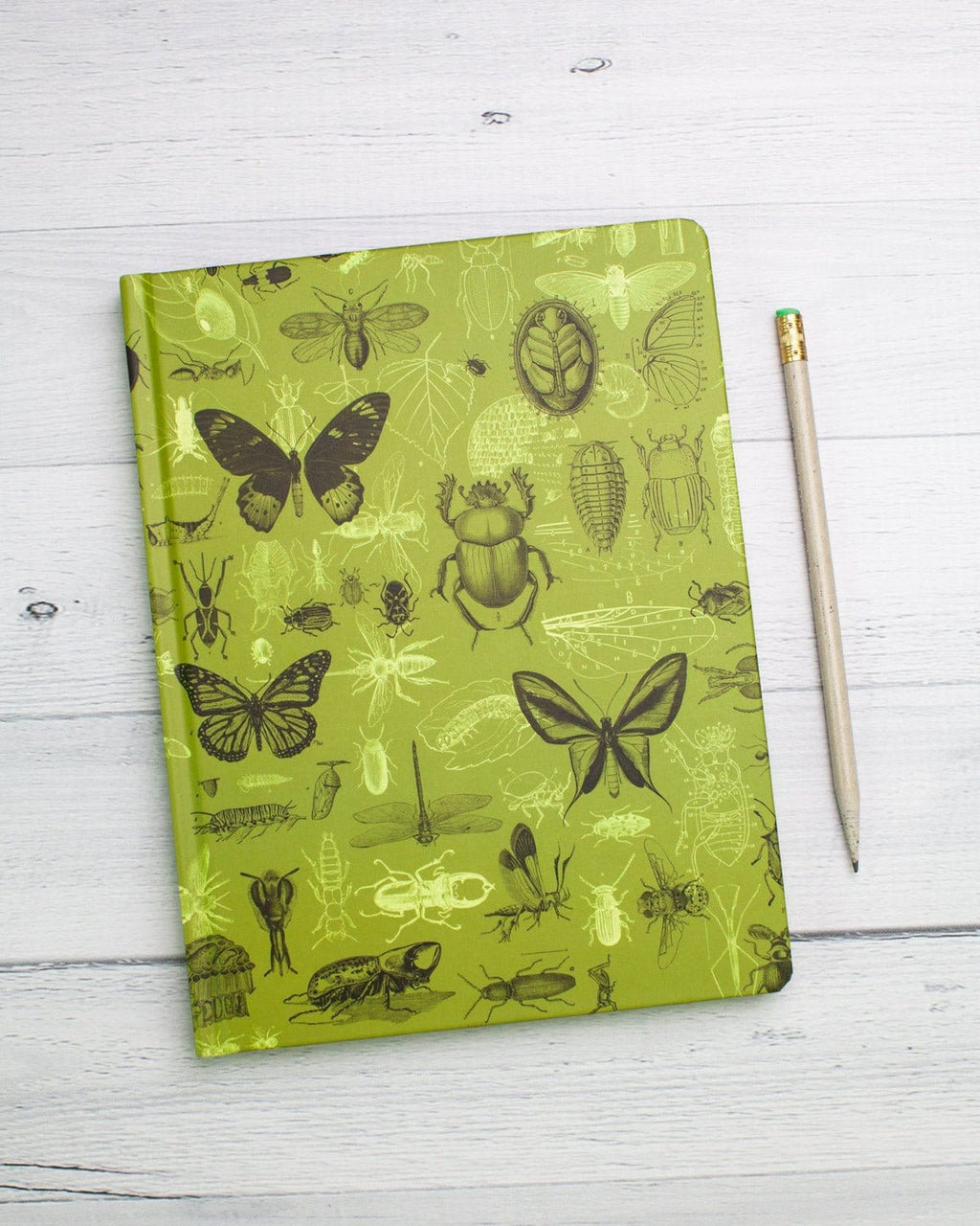 Insect Hardcover Notebook | Dot Grid Graph Paper Notebook – Cognitive ...