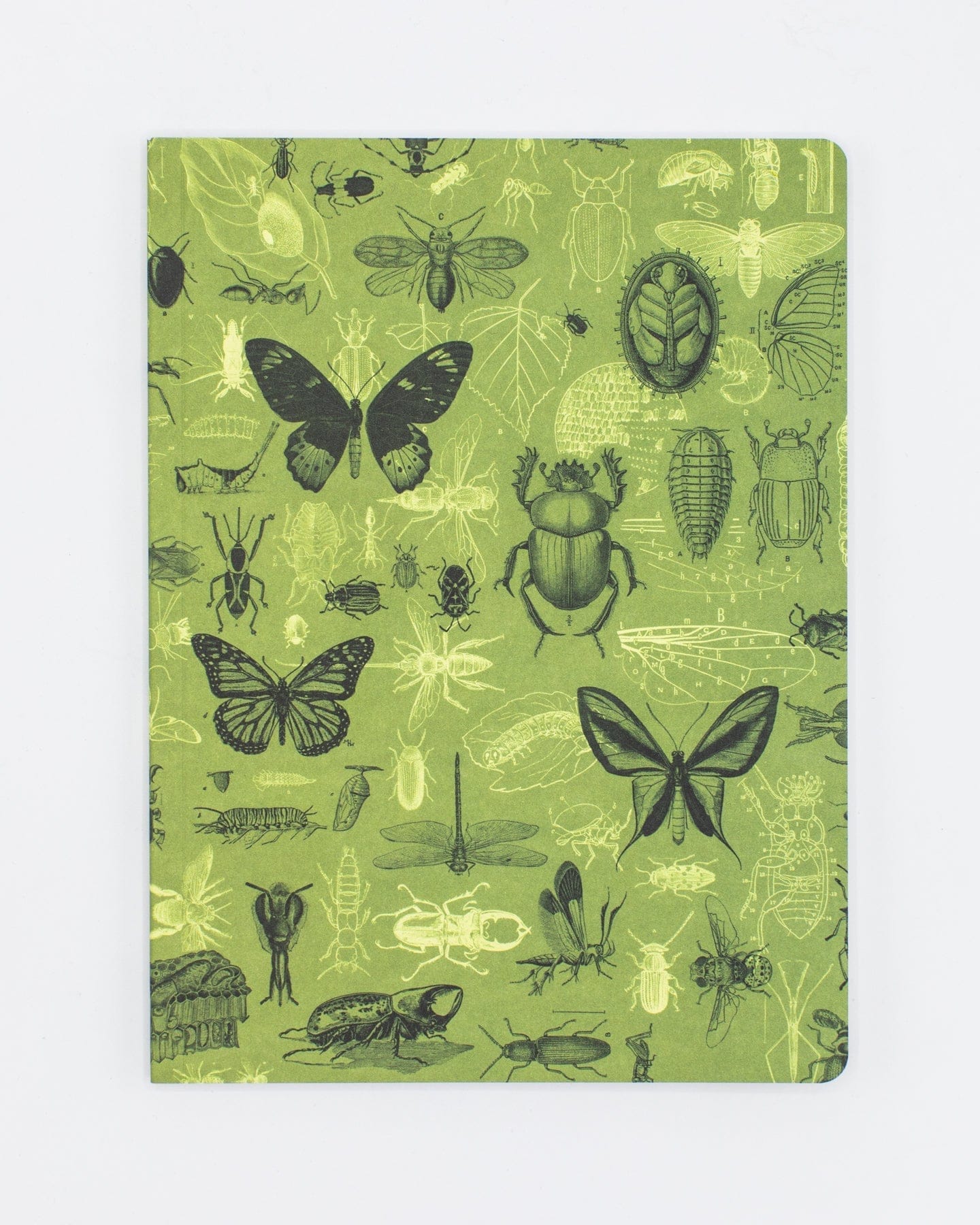 Insect Softcover Notebook | Butterfly Garden Journal – Cognitive Surplus